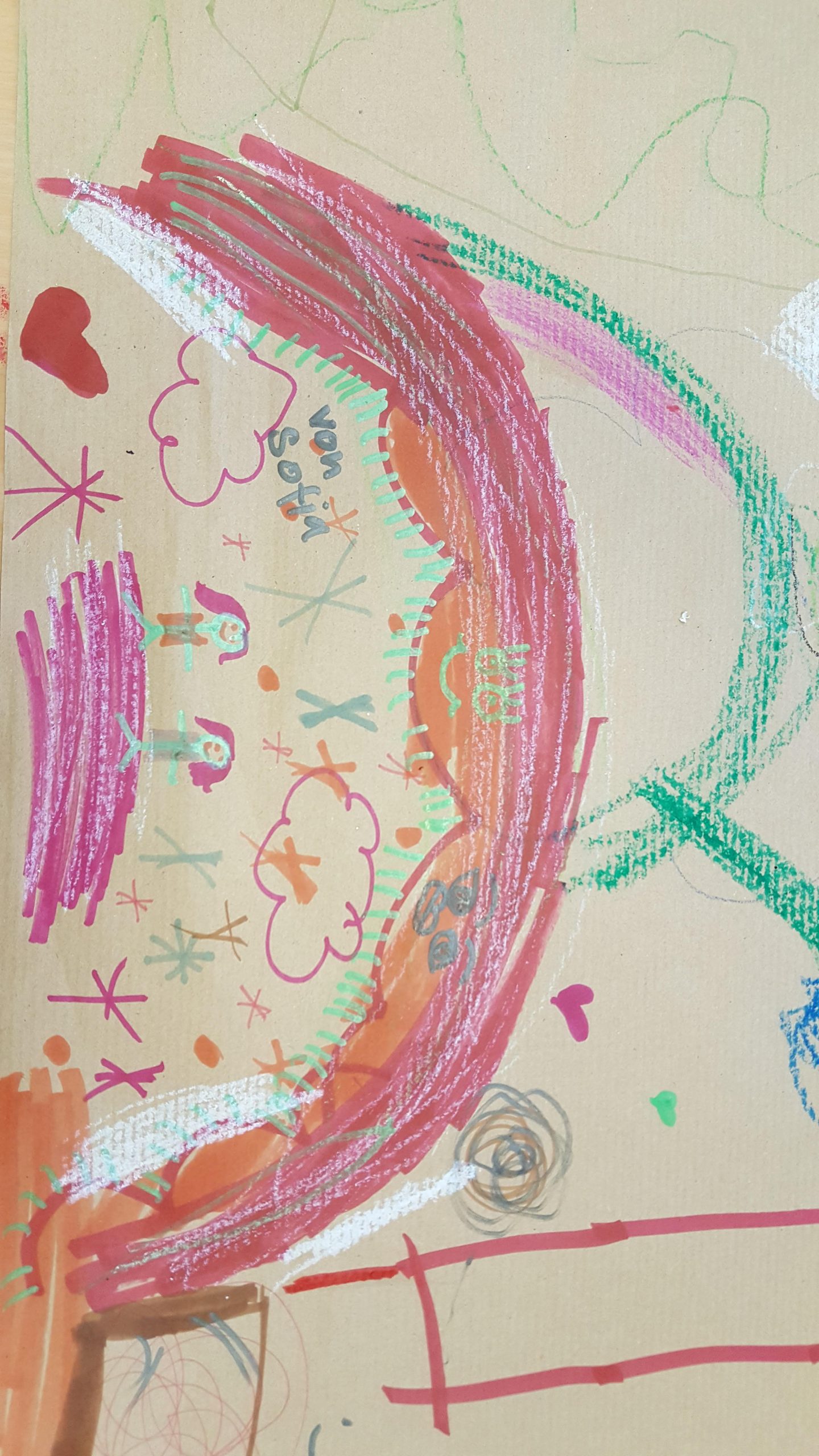 Verschiedene Projekte | Wilhelm-Schade-Schule